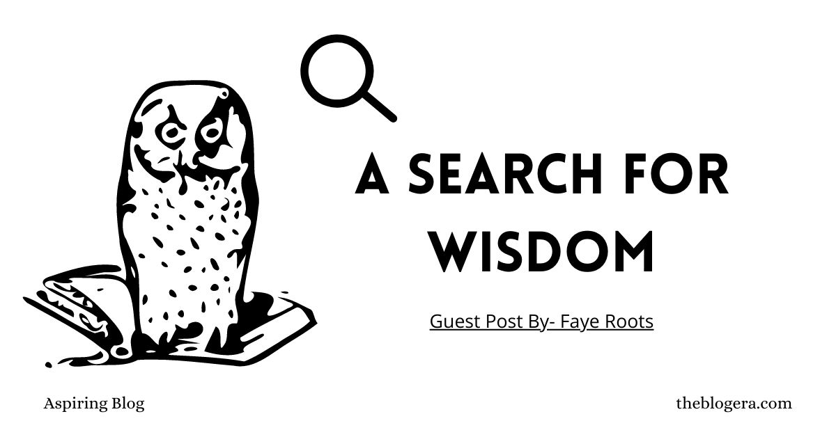 A Search For Wisdom – Aspiring Blog